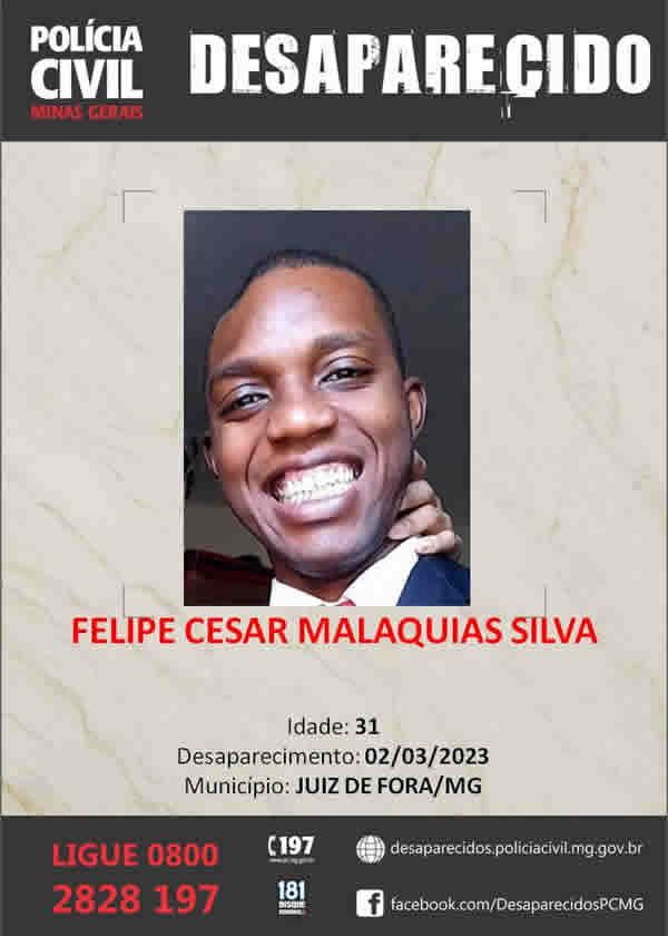 Cães treinados auxiliam polícia na procura por desaparecido em Juiz de Fora